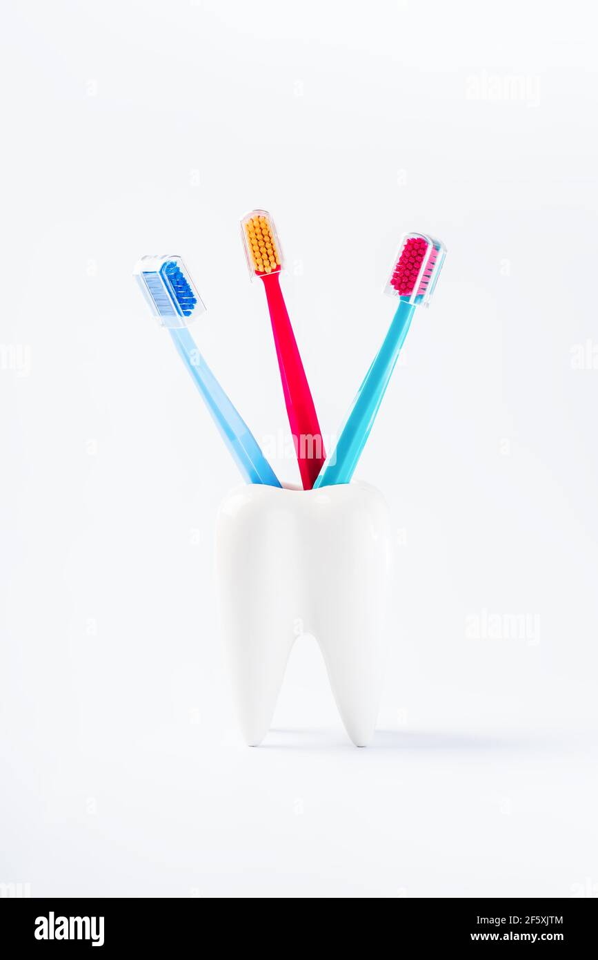 Toothbrushes in a stand in the form of a tooth on a white background ...