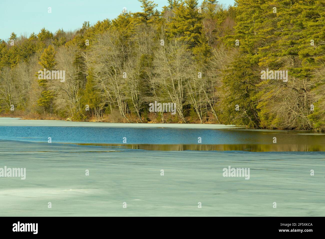 The Town of Jaffrey purchased the Cheshire Pond Conservation Area (CPCA ...
