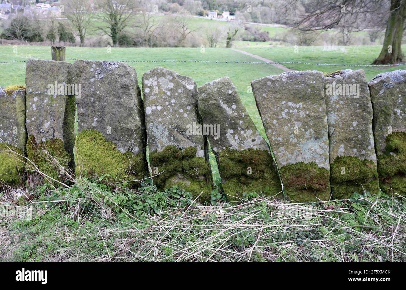 Historic path lined with upright stone slabs at Ashover in Derbyshire ...