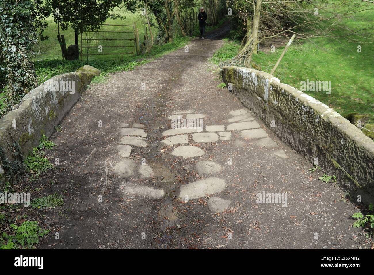 Historic packhorse bridge over the River Amber in the Derbyshire ...