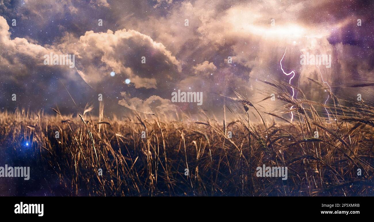 Lightning over wheat field hi-res stock photography and images - Alamy