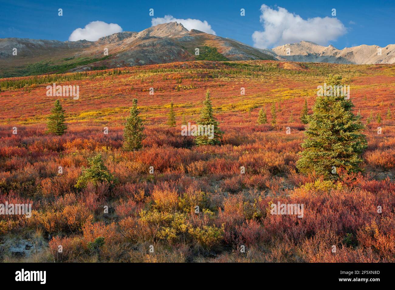 North America; United States; Alaska; Alaska Range Mountains; Denali ...
