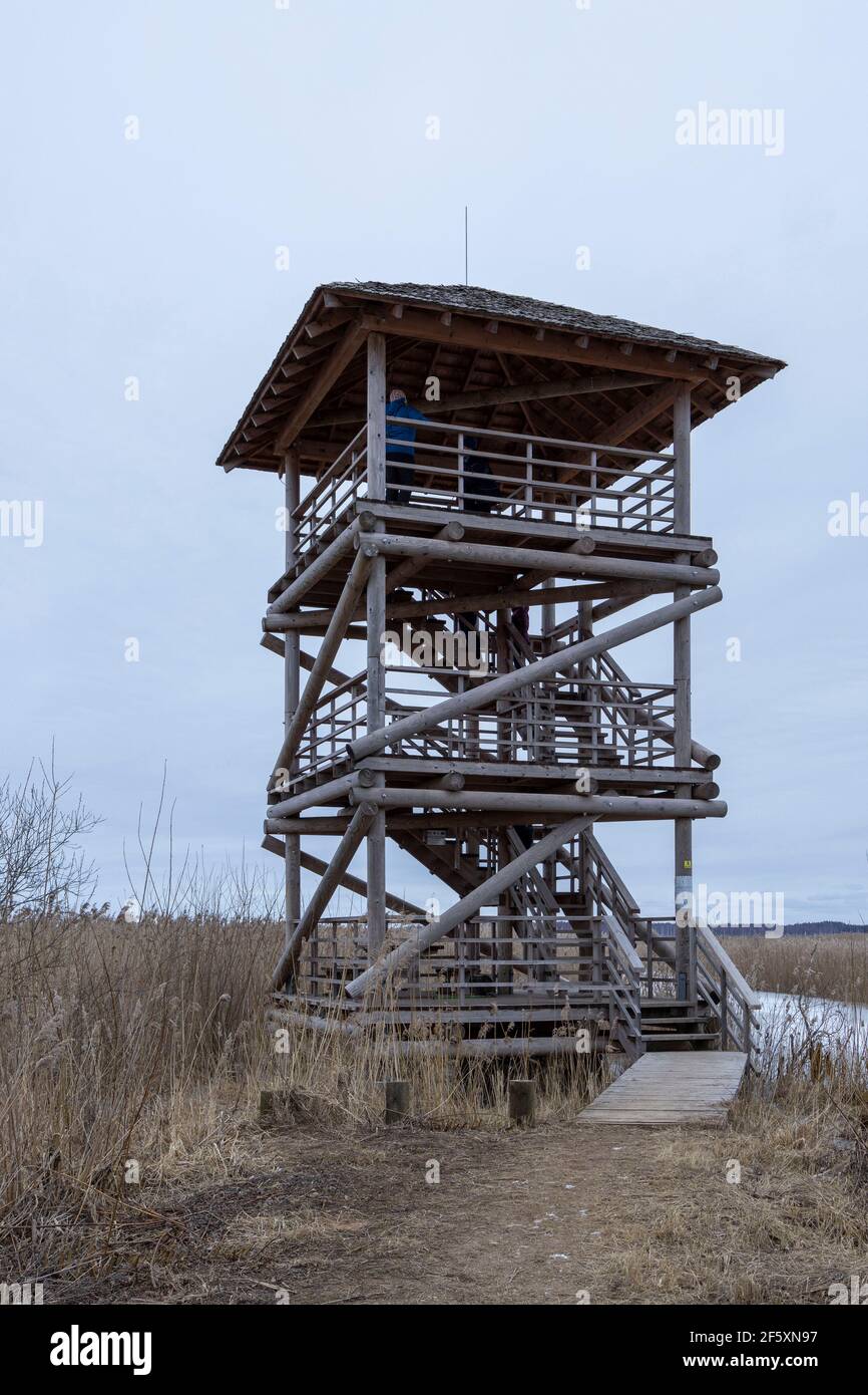 Bog meadows winter hi-res stock photography and images - Alamy