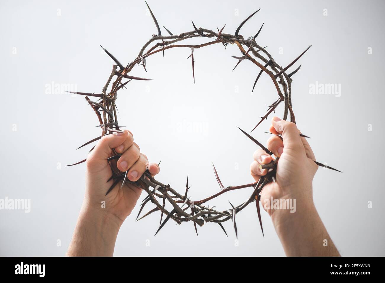two hands hold crown of thorns , isolated on white background Stock ...
