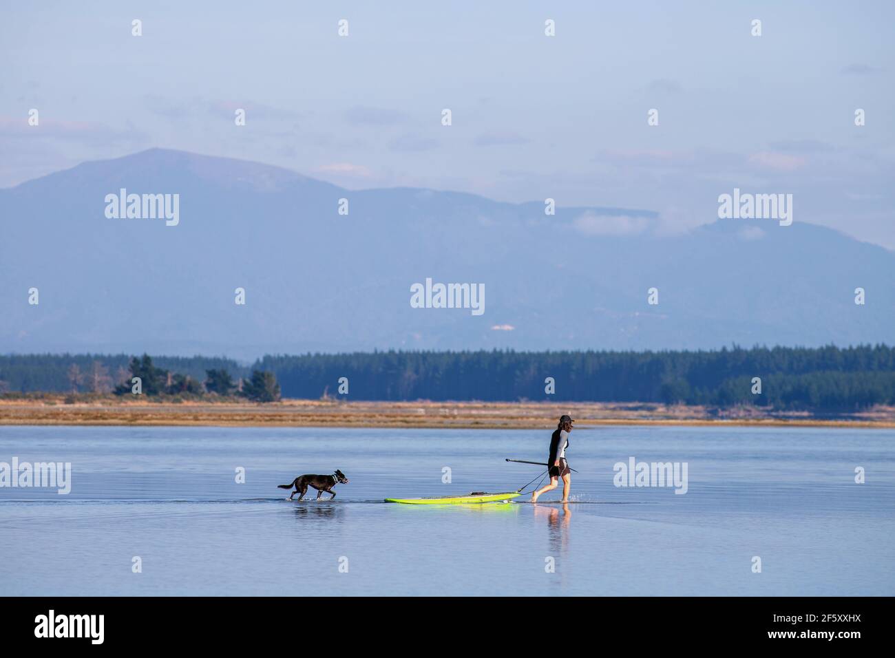 Waimea Inlet, Nelson, New Zealand Stock Photo - Alamy