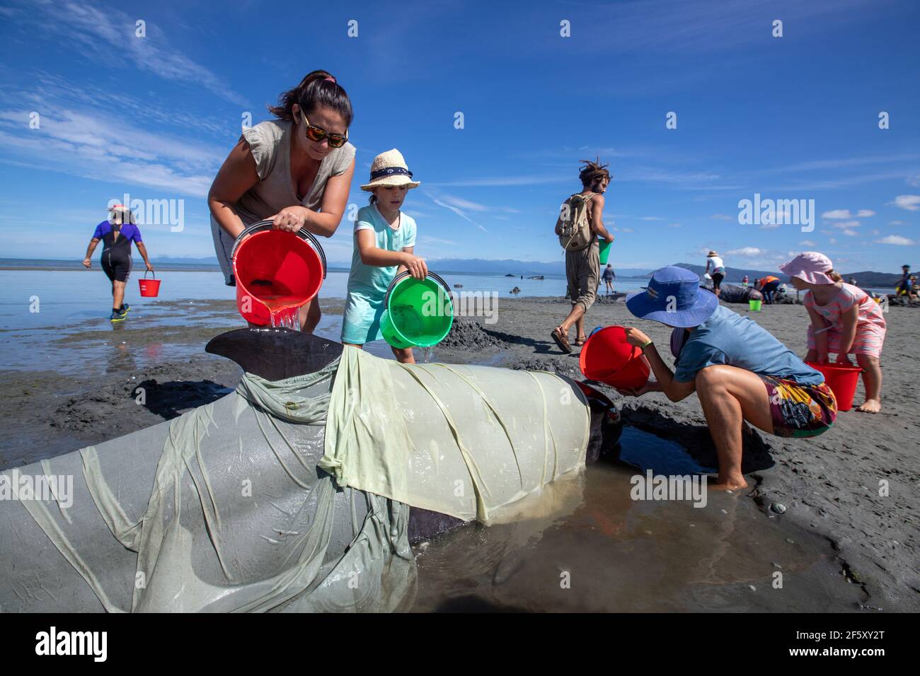 Stranding hi-res stock photography and images - Alamy