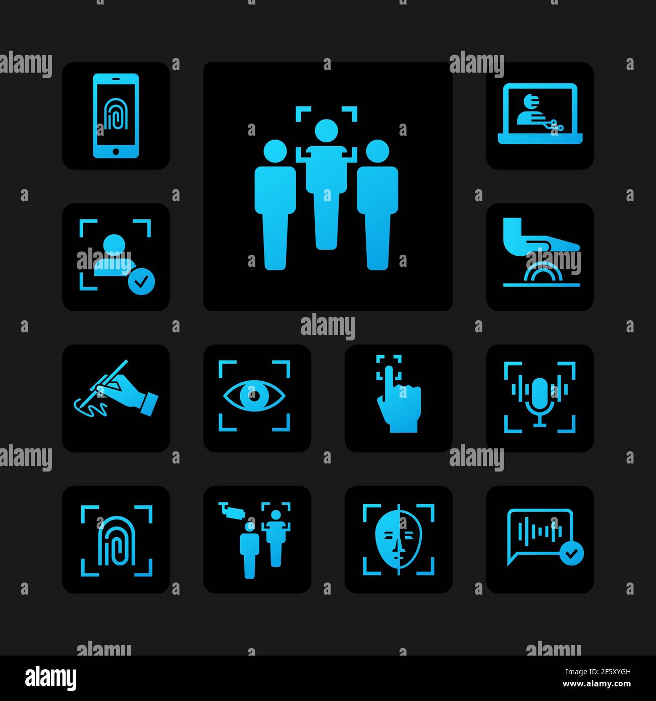 Biometric icon set in hi-res stock photography and images - Alamy