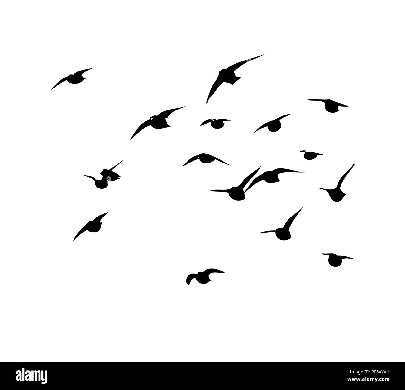 A flock of flying birds. Vector illustration Stock Vector Image & Art ...