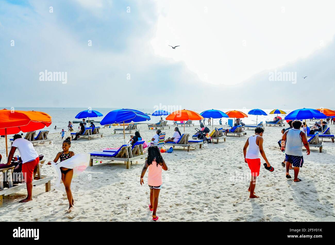 Black spring break hi-res stock photography and images - Alamy