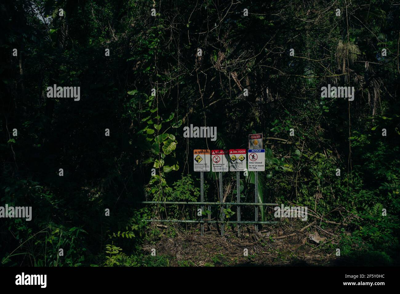 Warning Signs in the jungle on big island, Hawaii - dec, 2020 Stock ...
