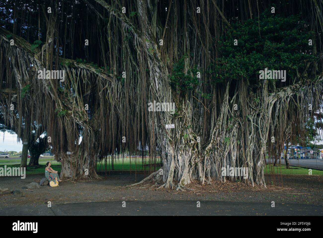 Hawaii big island hilo street hi-res stock photography and images - Alamy