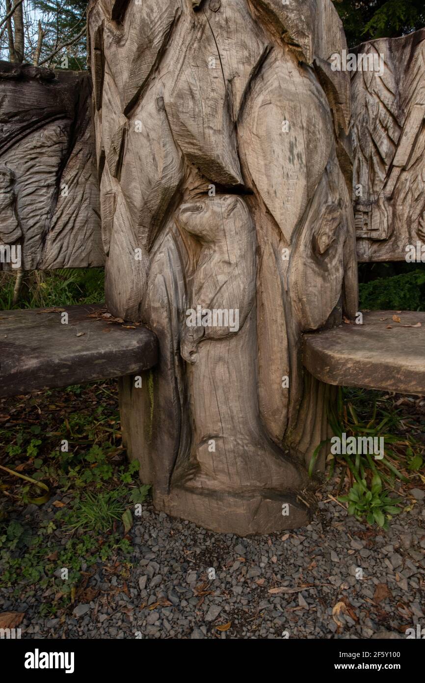 Forest of ae scotland hi-res stock photography and images - Alamy