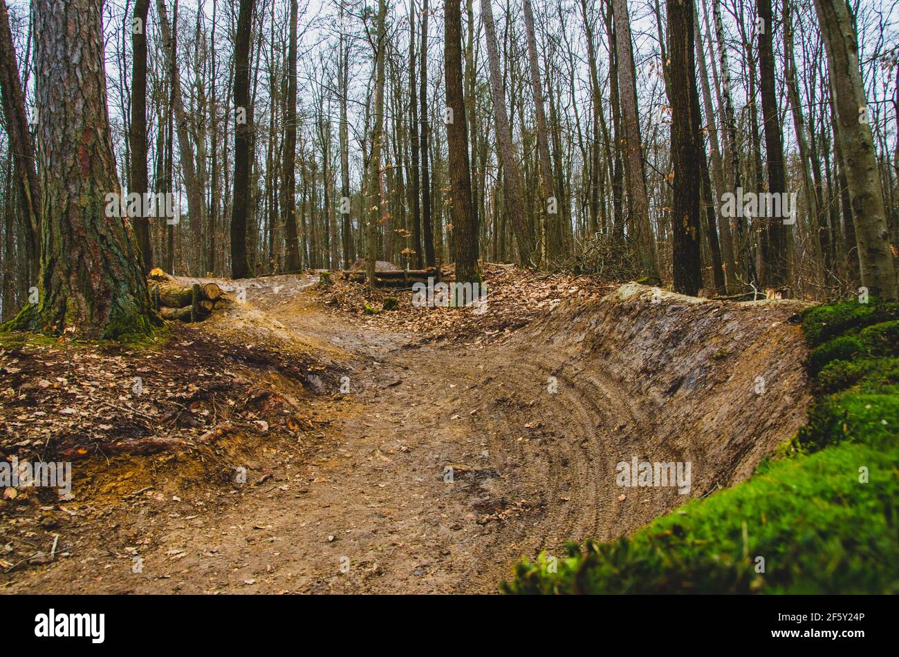 Newly built downhill track in the forest with jumps and narrow curves ...