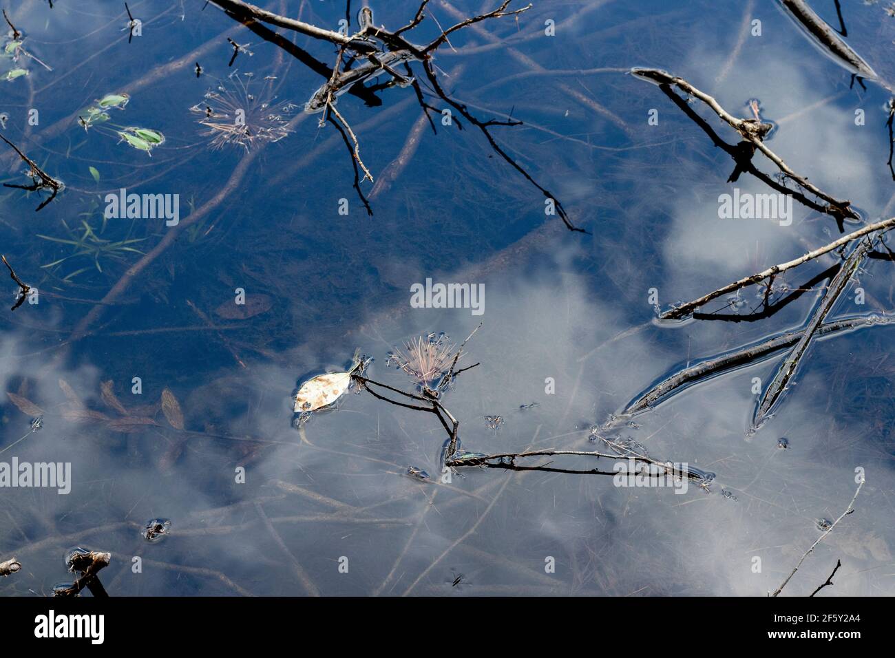 Still water in nature with reflection of sky and clouds and natural ...