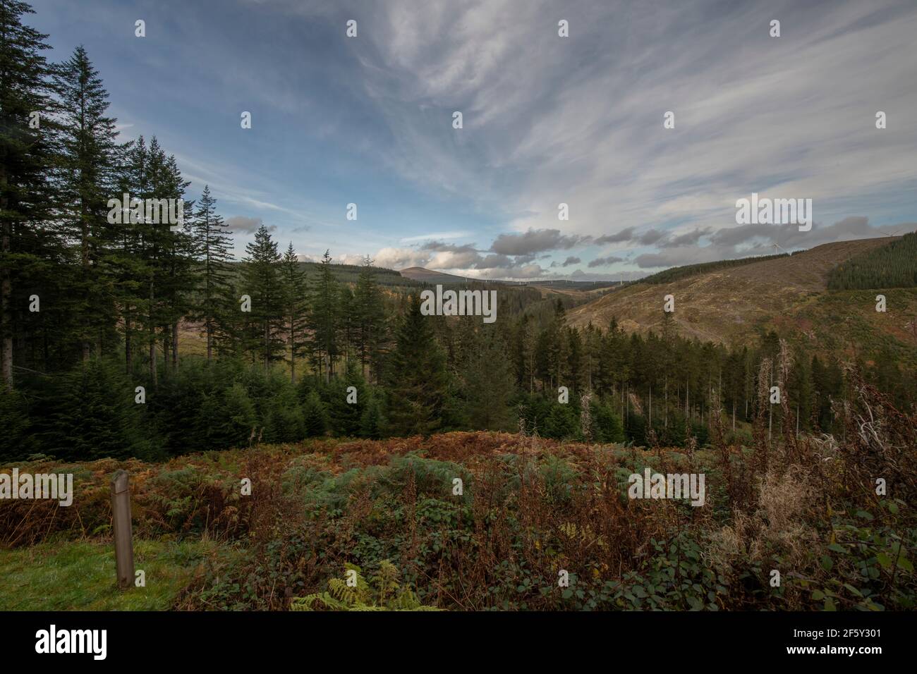 Ae dumfries hi-res stock photography and images - Alamy