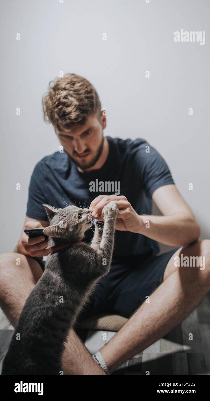 Man feeding a cat hi-res stock photography and images - Alamy