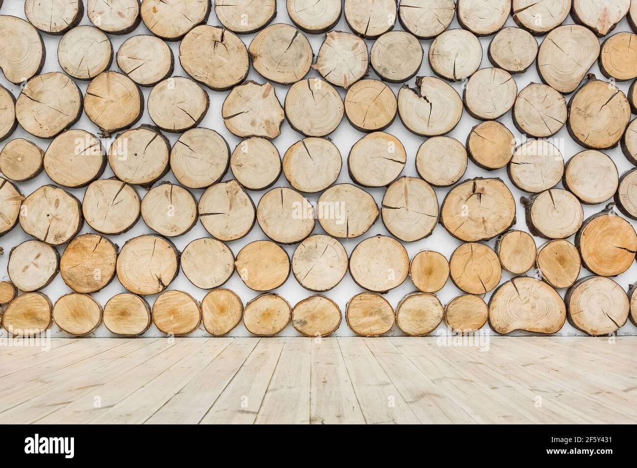 Annual wooden rings decorative pattern interior wall texture background ...