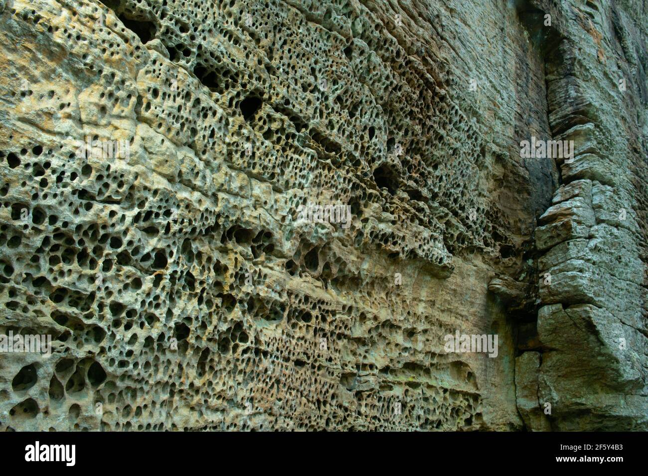 Pock Filled Cliffside in Strange Erosion Phenomenon Stock Photo - Alamy