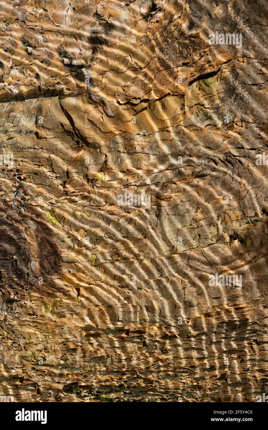 Reflection light on ceiling hi-res stock photography and images - Alamy