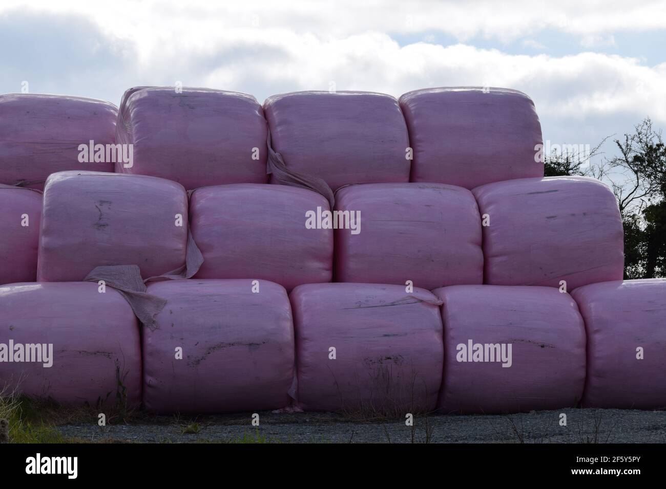 Pink bales hi-res stock photography and images - Alamy
