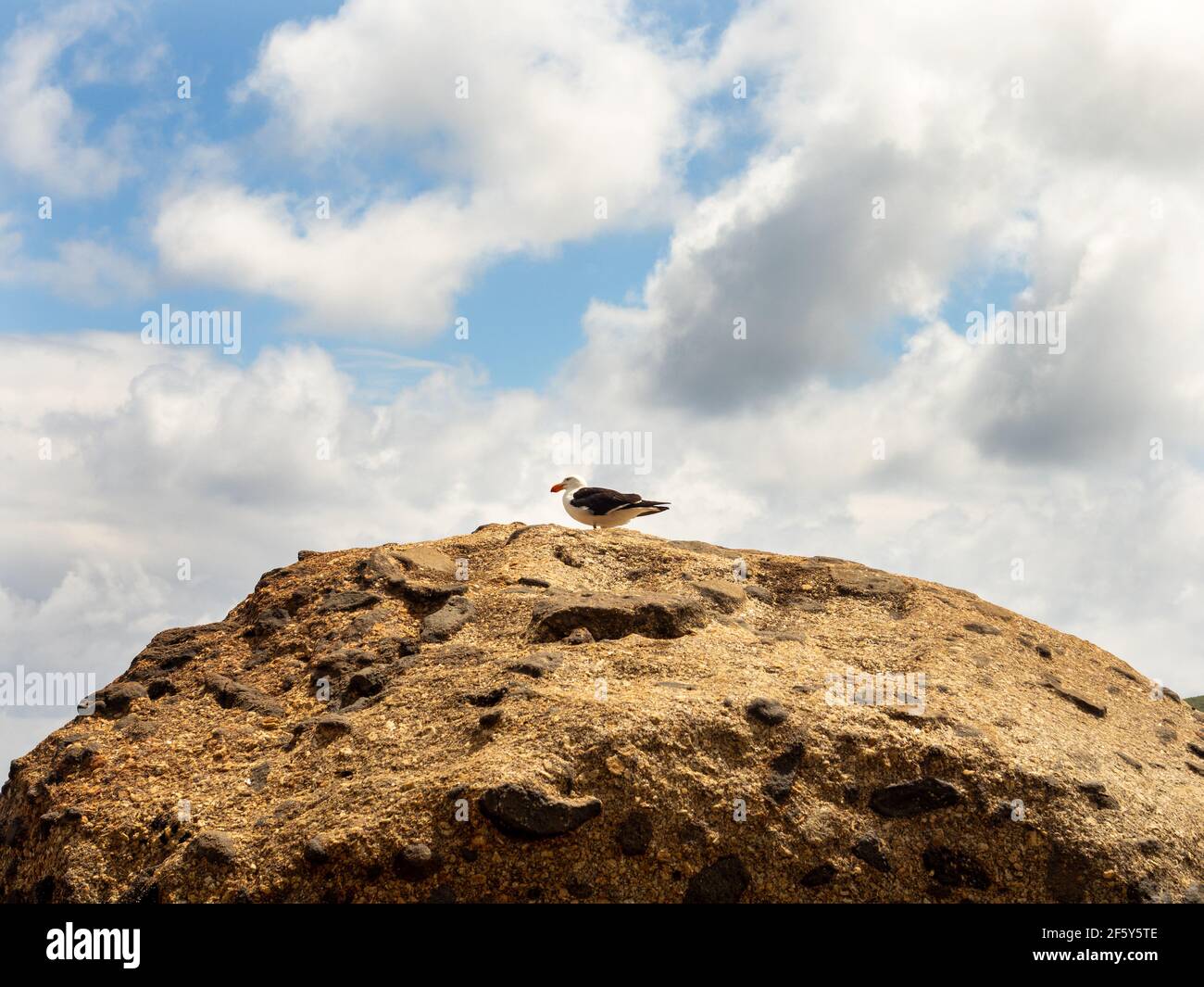 Gull Rock National Park High Resolution Stock Photography and Images ...
