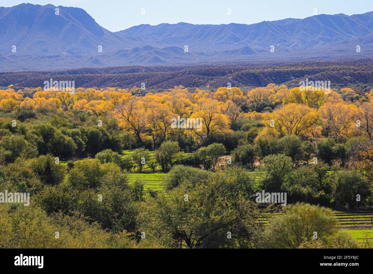 Cerro amarillo hi-res stock photography and images - Alamy