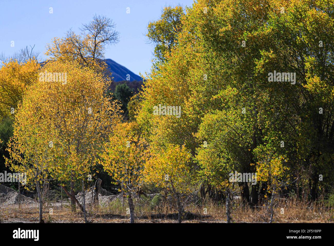 Mpo aconchi hi-res stock photography and images - Alamy