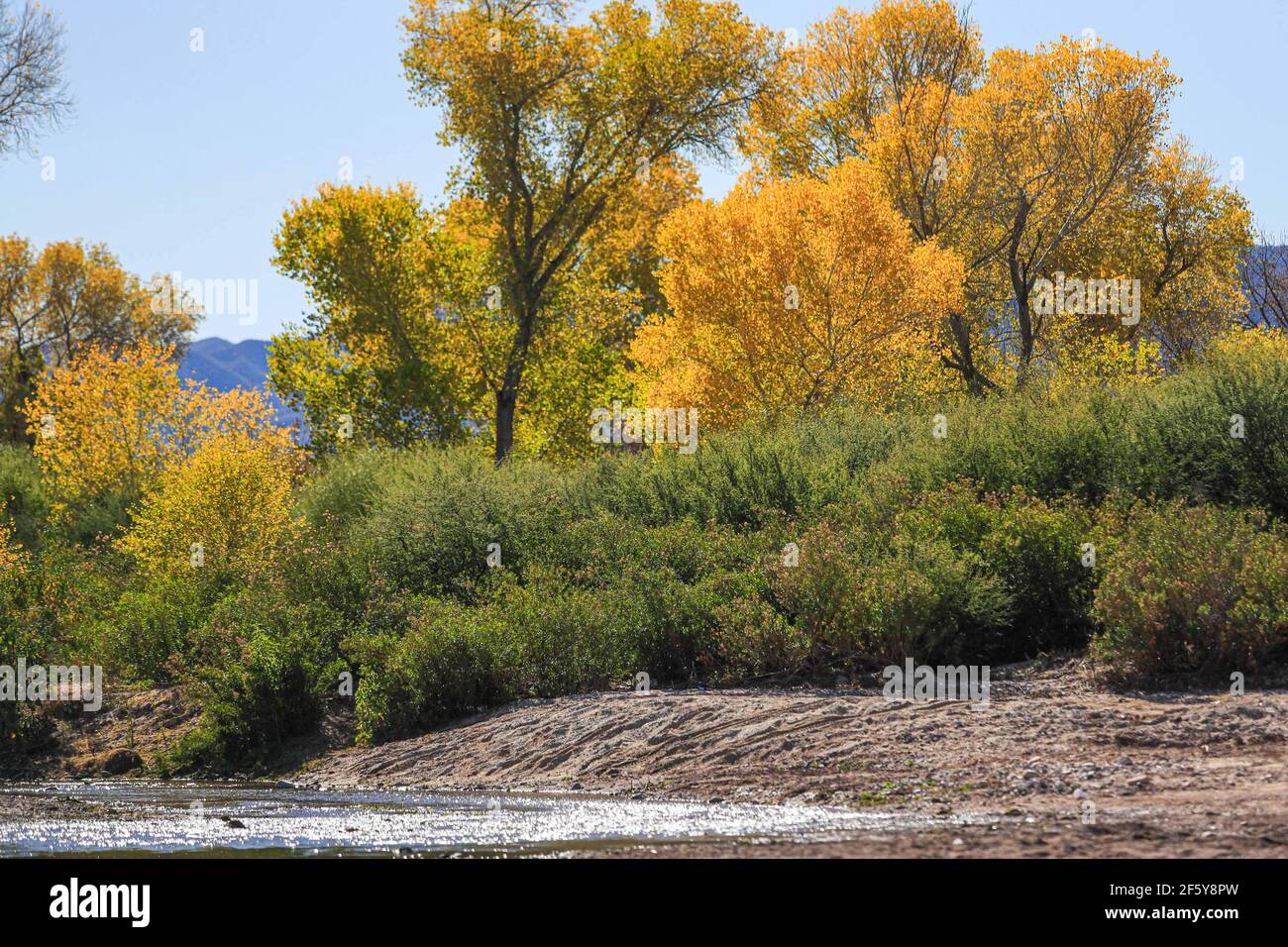 Aconchi, Mpo. Aconchi, Sonora, Mexico. flow of the Sonora river as it ...