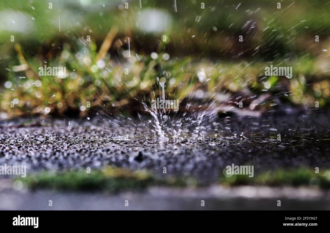 Raindrops Falling On The Ground