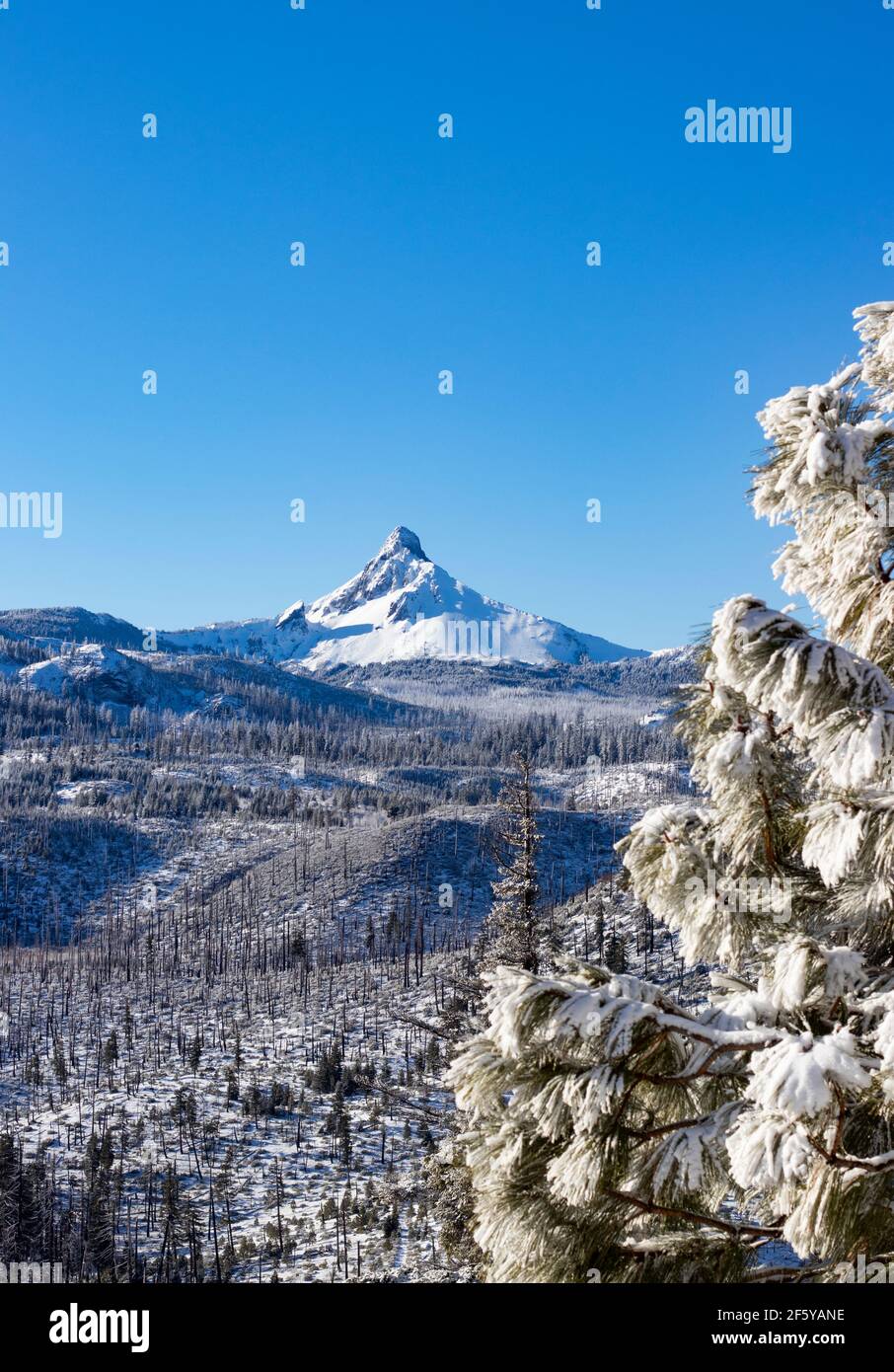 Mt. Washington, Oregon Stock Photo - Alamy