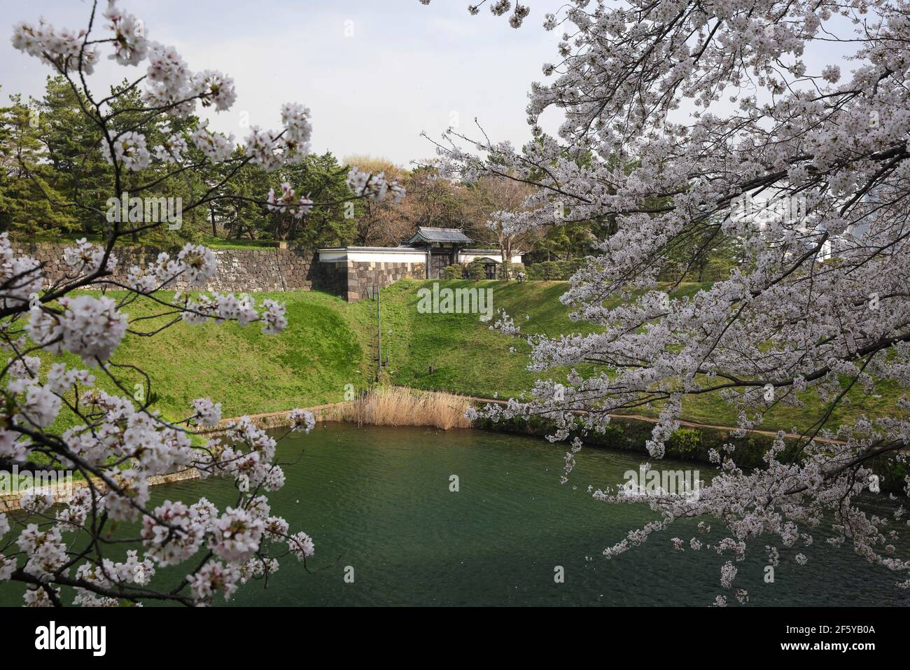 Hanzomon Gate of the Imperial Palace in Tokyo during Hanami Season ...