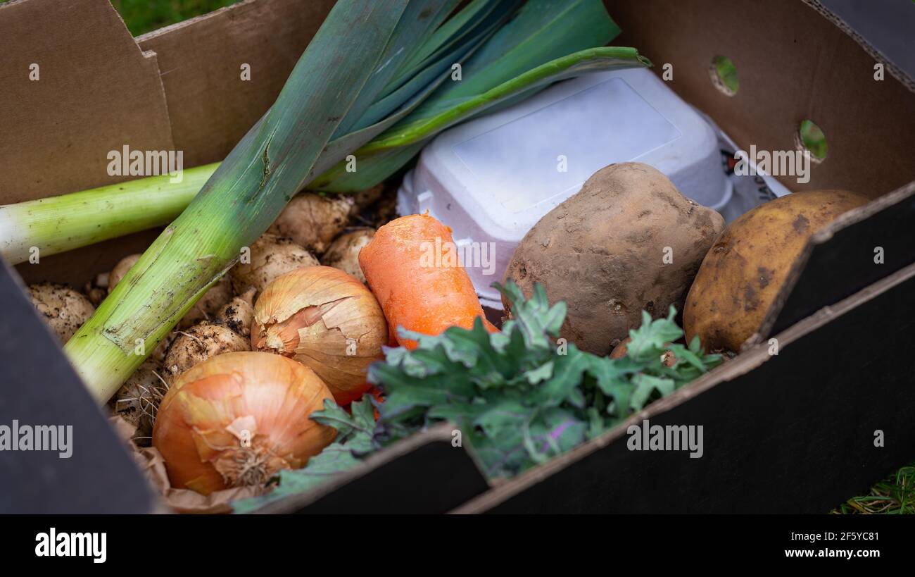 Vegetable box hi-res stock photography and images - Alamy