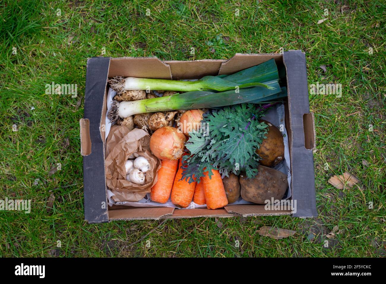 Assorted organic vegetables in vege box Stock Photo - Alamy