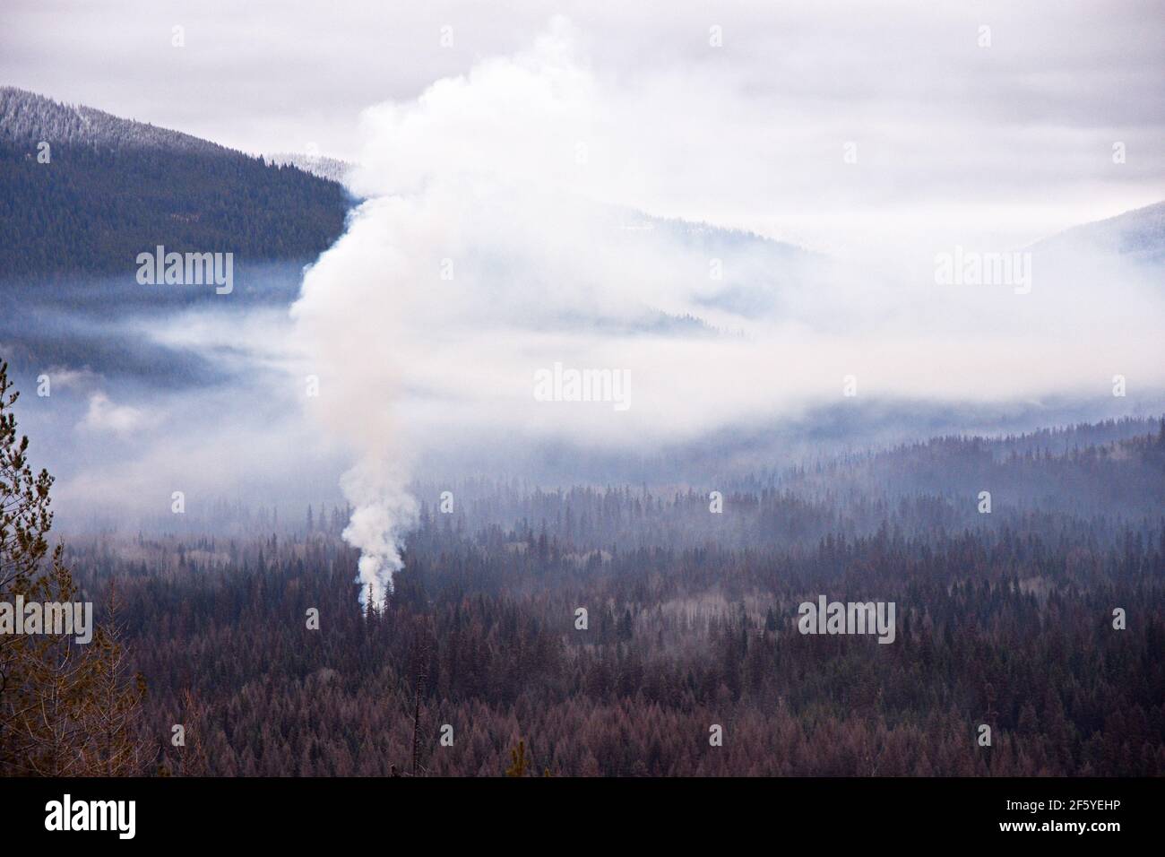 Burning logging slash in December during an air inversion. Yaak Valley ...