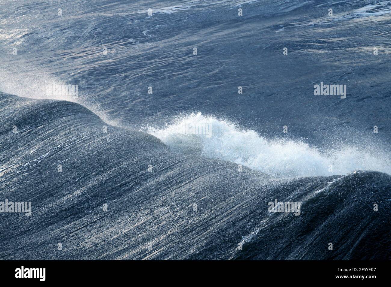 Aerial view of a huge ocean wave breaking in the sea during a hurricane ...