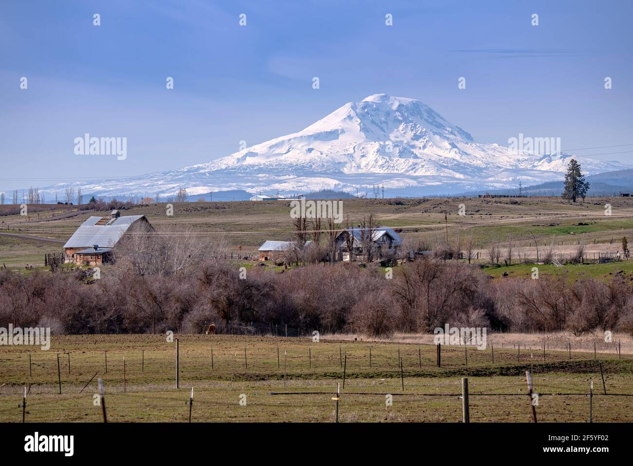 Mount Adams covered with snow and the landscape below Washington state ...