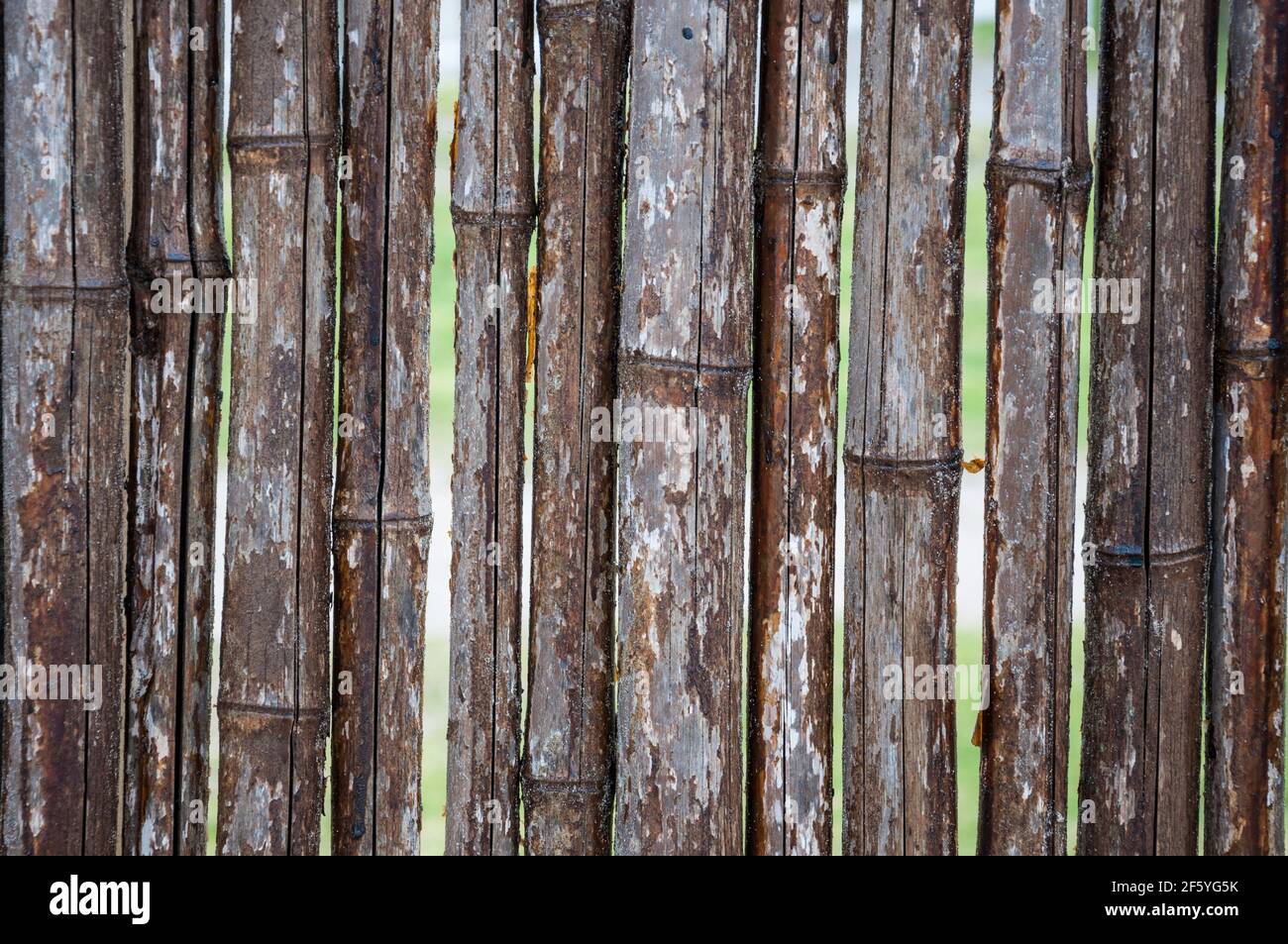 Cane Fence High Resolution Stock Photography and Images - Alamy