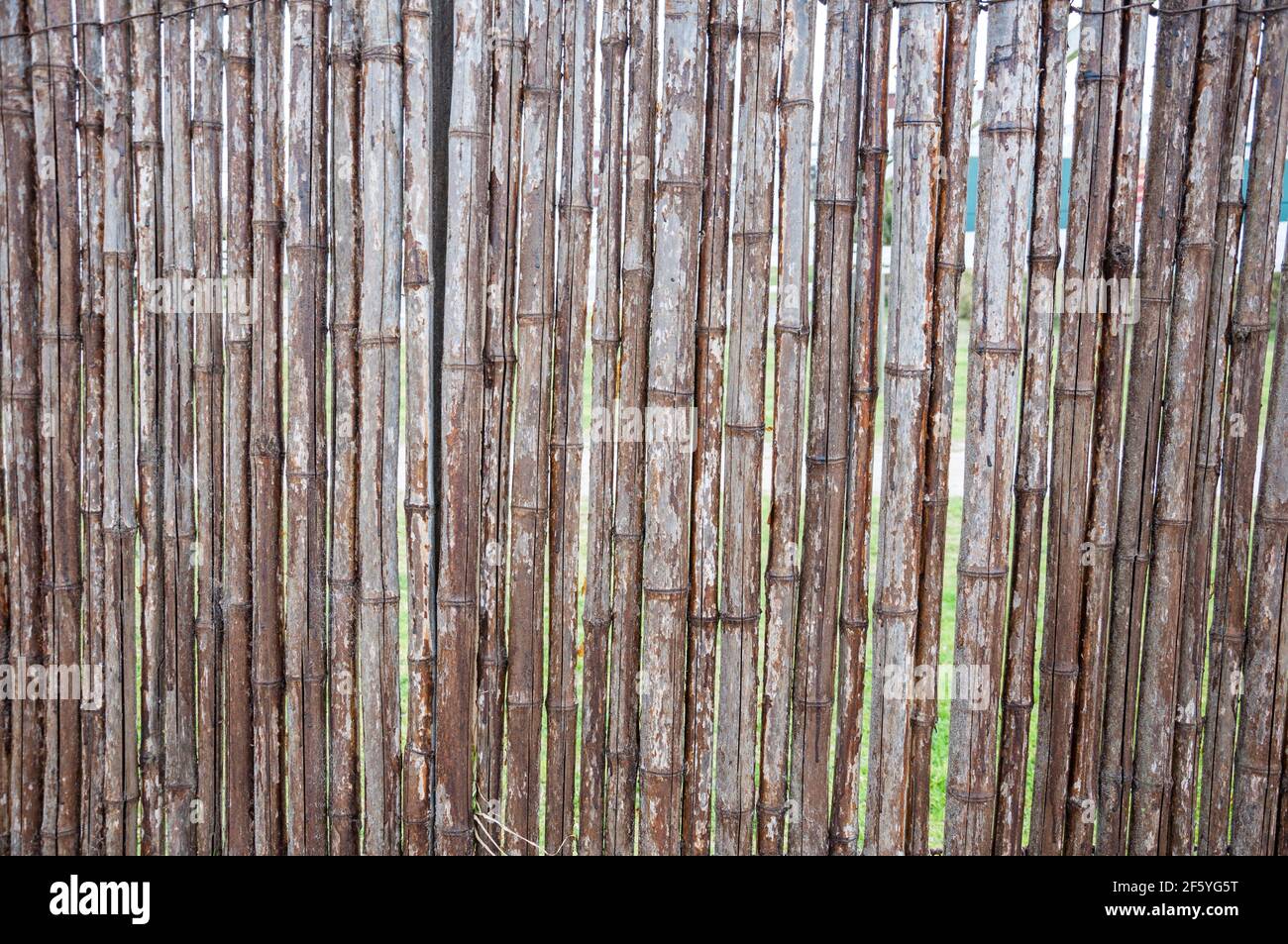 Cane Fence High Resolution Stock Photography and Images - Alamy