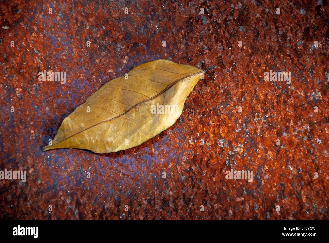 Close up shot of an inanimate object lying on a red pavement Stock ...