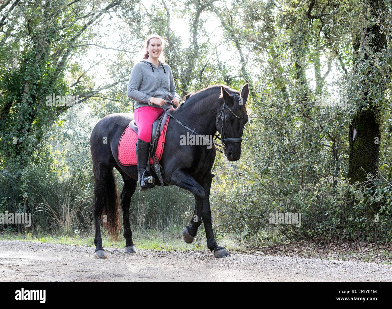 riding girl are training her black horse Stock Photo - Alamy