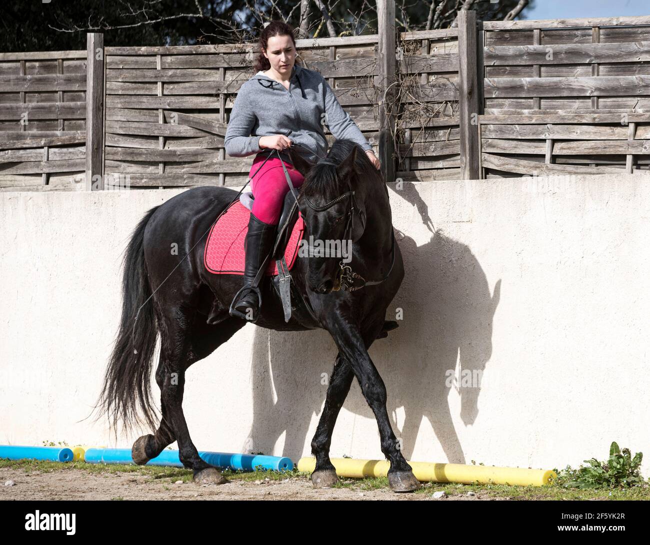 riding girl are training her black horse Stock Photo - Alamy