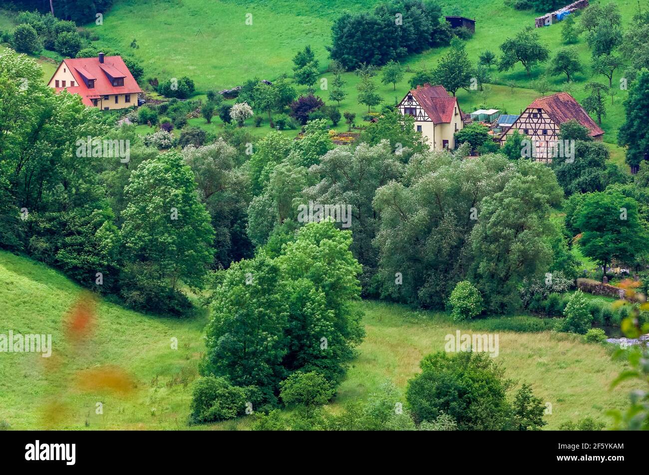 Tauber valley forest hi-res stock photography and images - Alamy