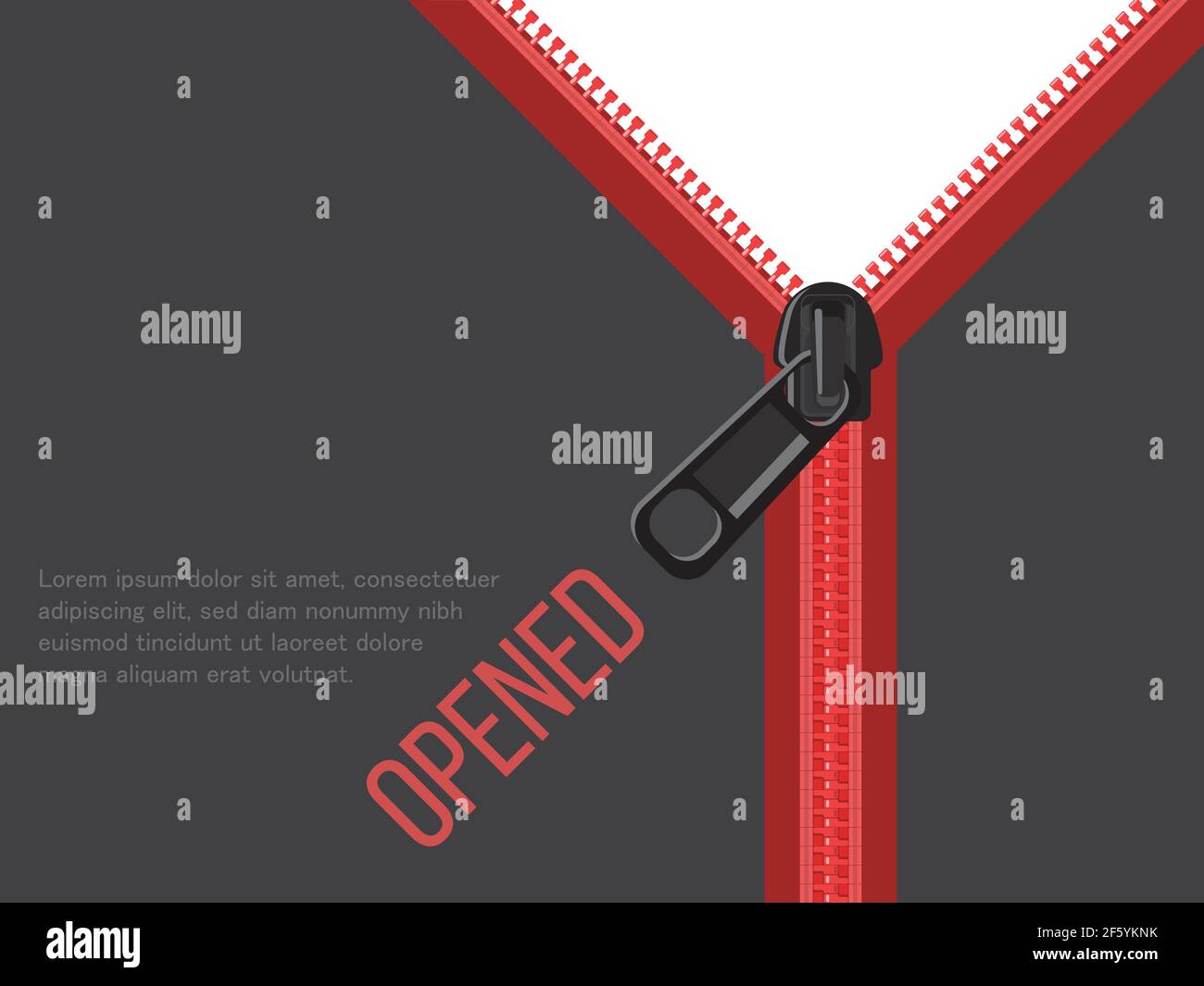 Zipper opened template design on illustration graphic vector Stock ...