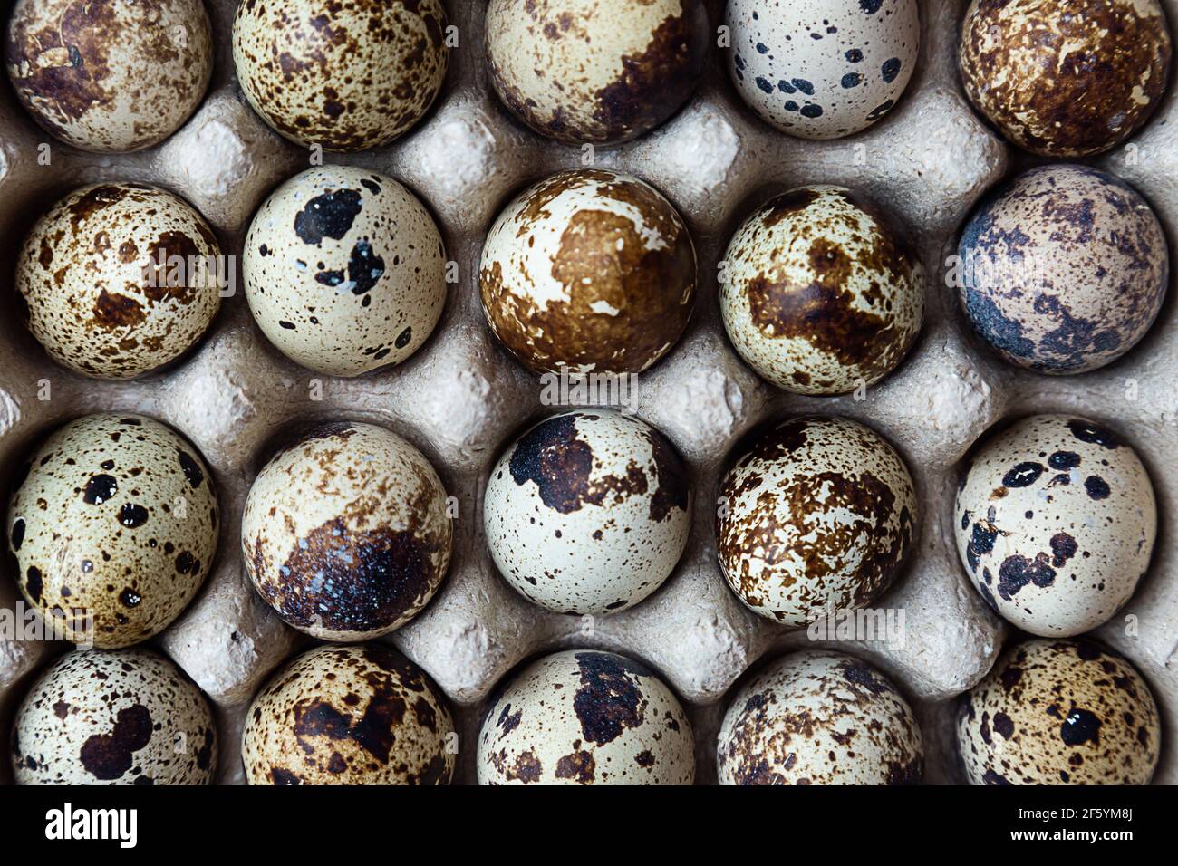 Package quail egg box hi-res stock photography and images - Alamy