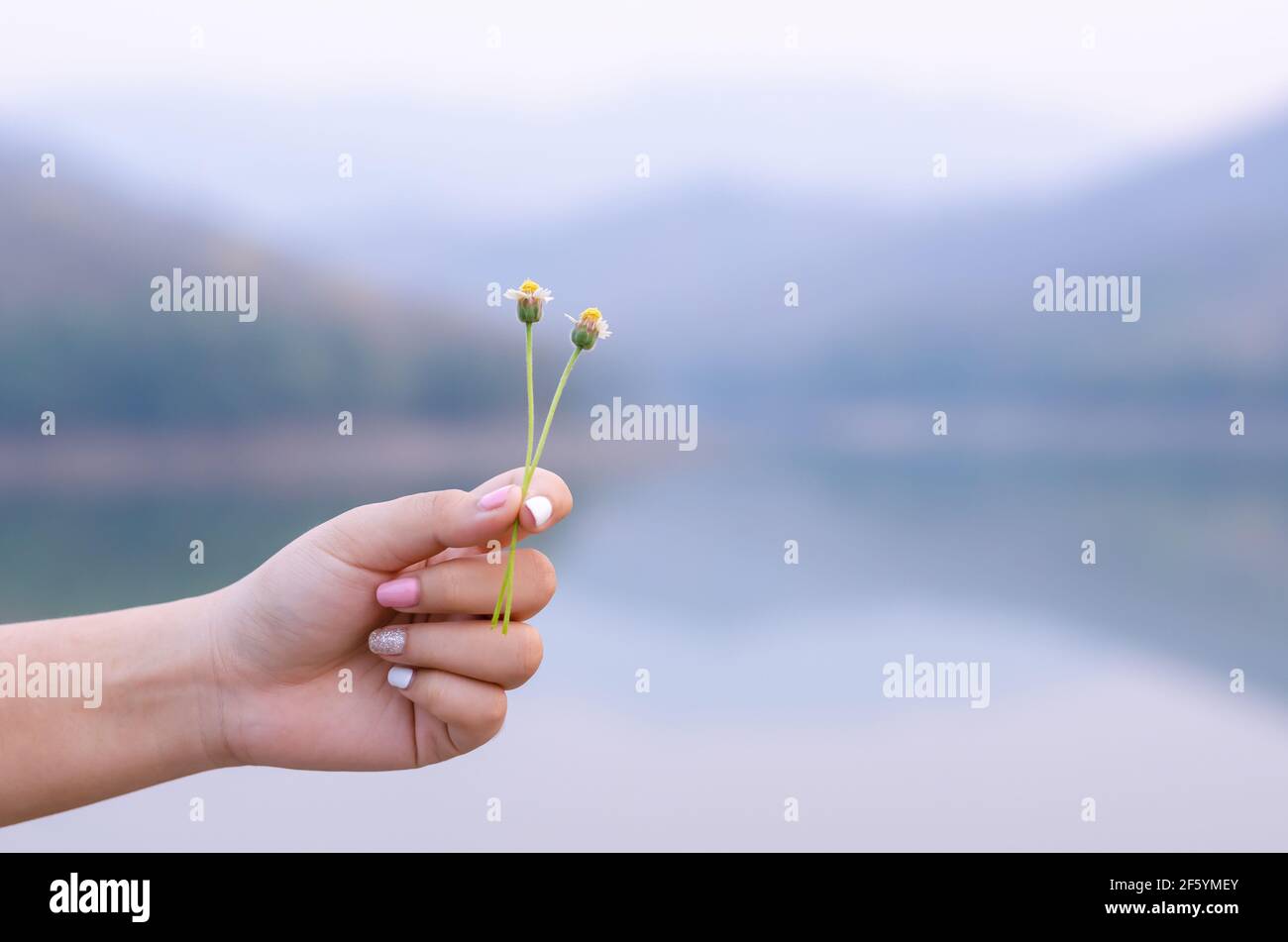 Coat buttons flower hi-res stock photography and images - Alamy