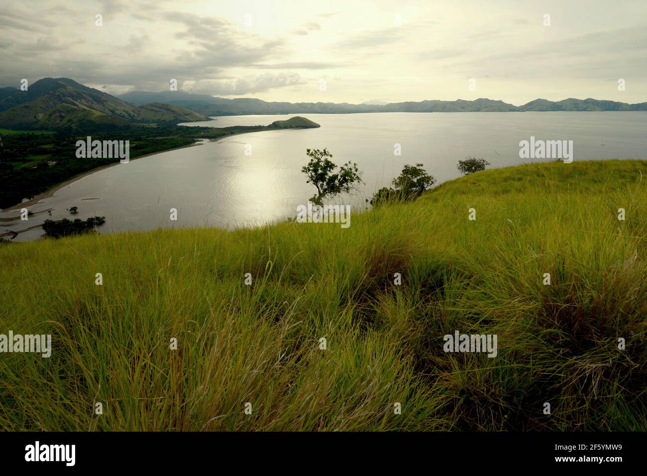 Grassland and coastline of Flores Island, seen from a coastal hill in ...