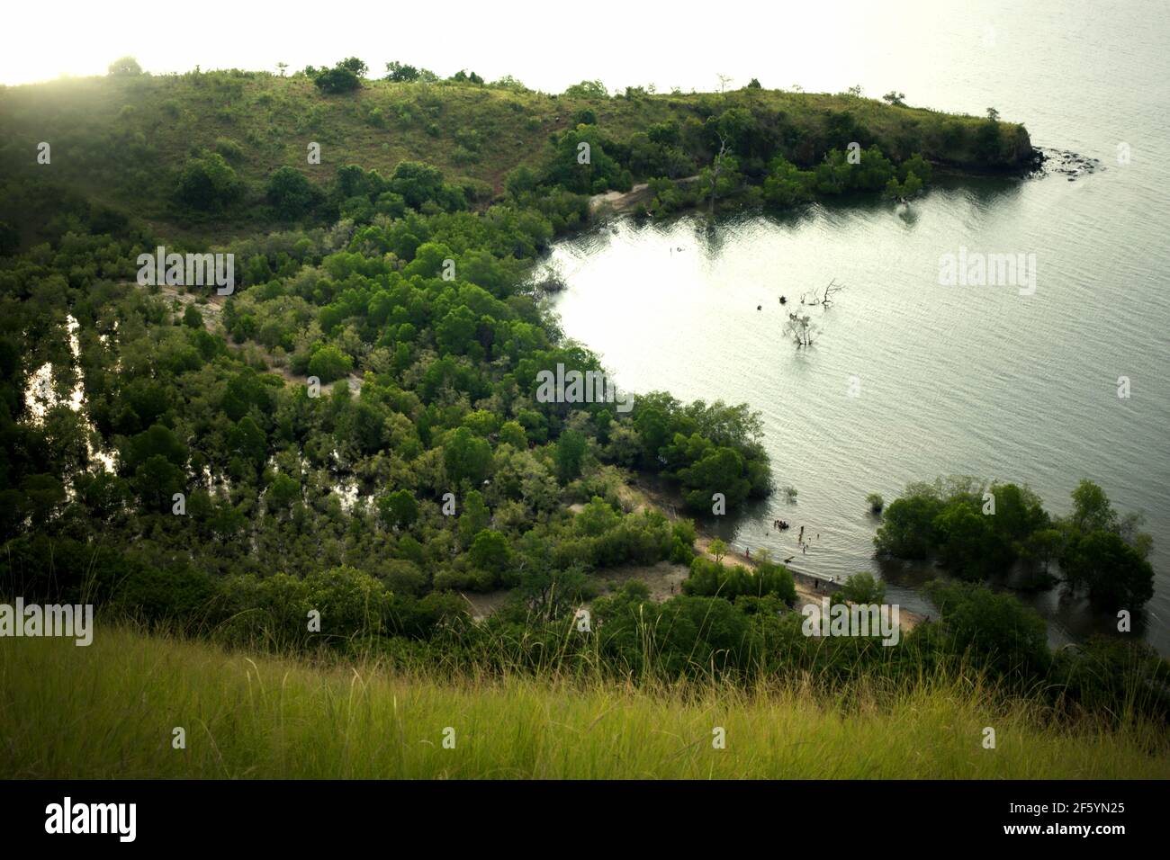 Coastal ecosystem landscape hi-res stock photography and images - Alamy