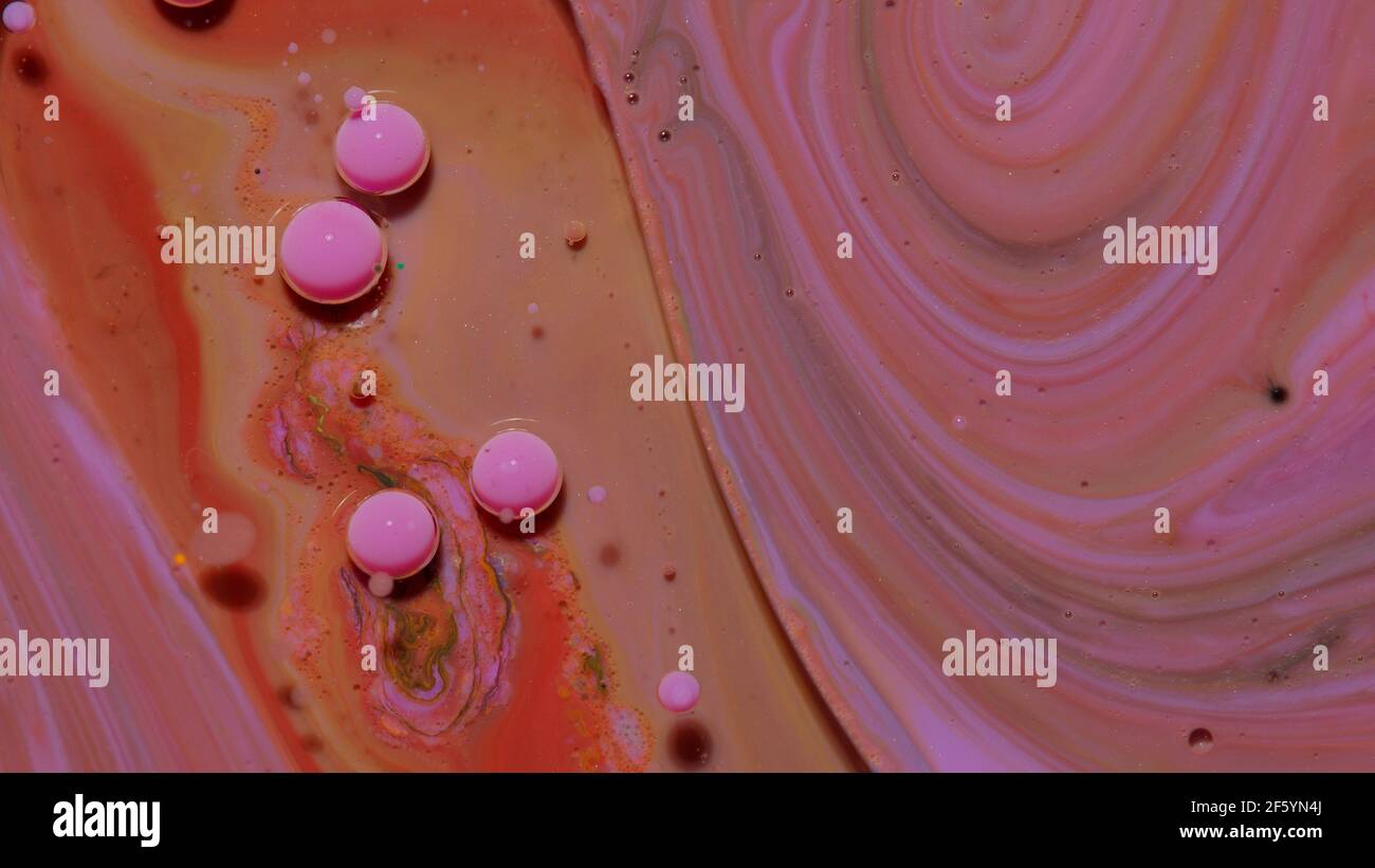 Top view movement of pink oil ink drops bubbles, multicolored artistic ...