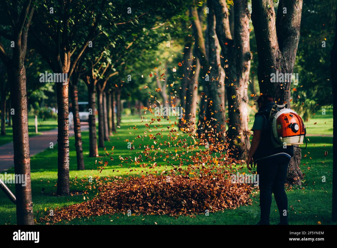 A woman operating a heavy duty leaf blower Stock Photo - Alamy