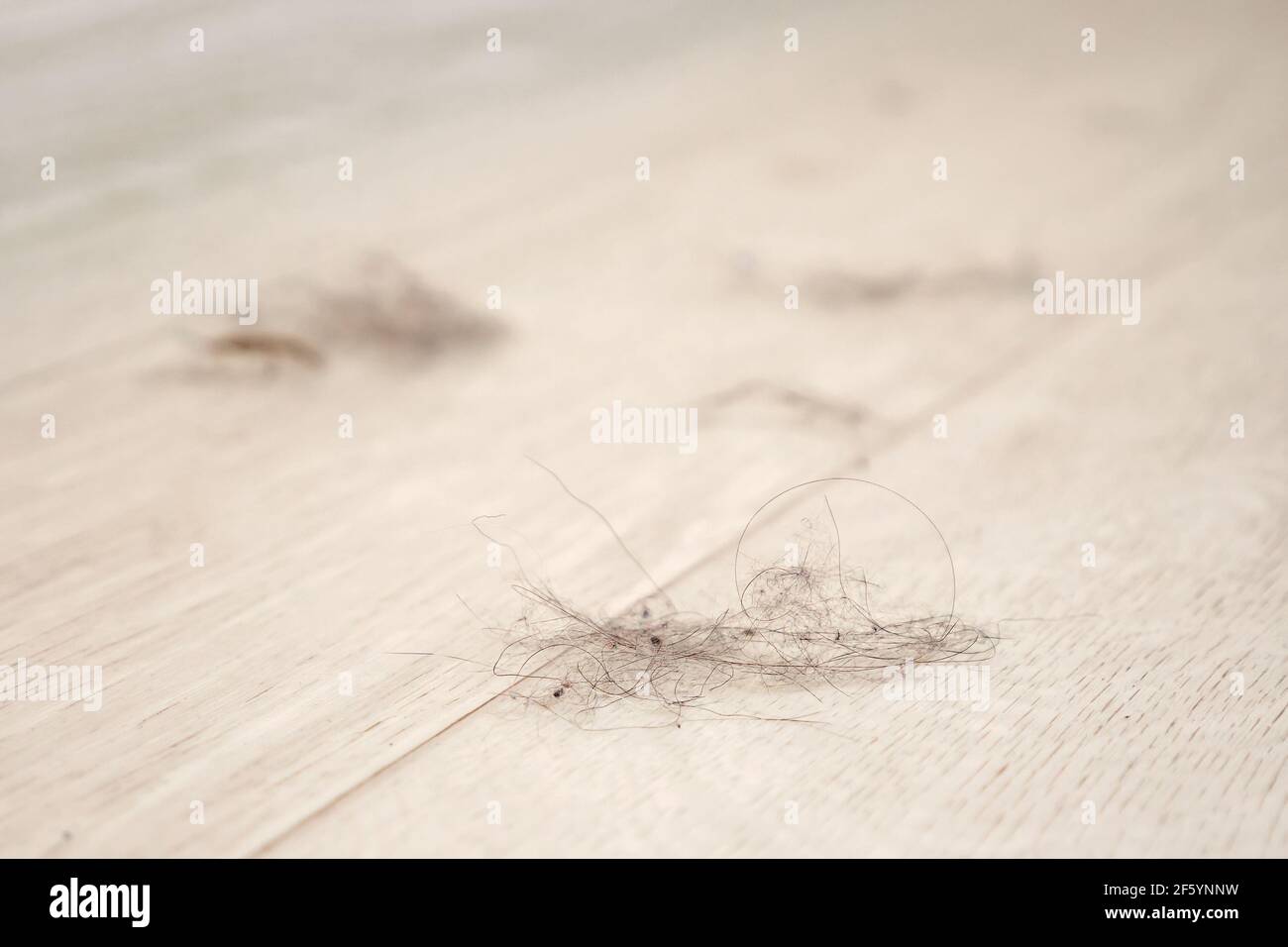 Remove dirt hair hi-res stock photography and images - Alamy